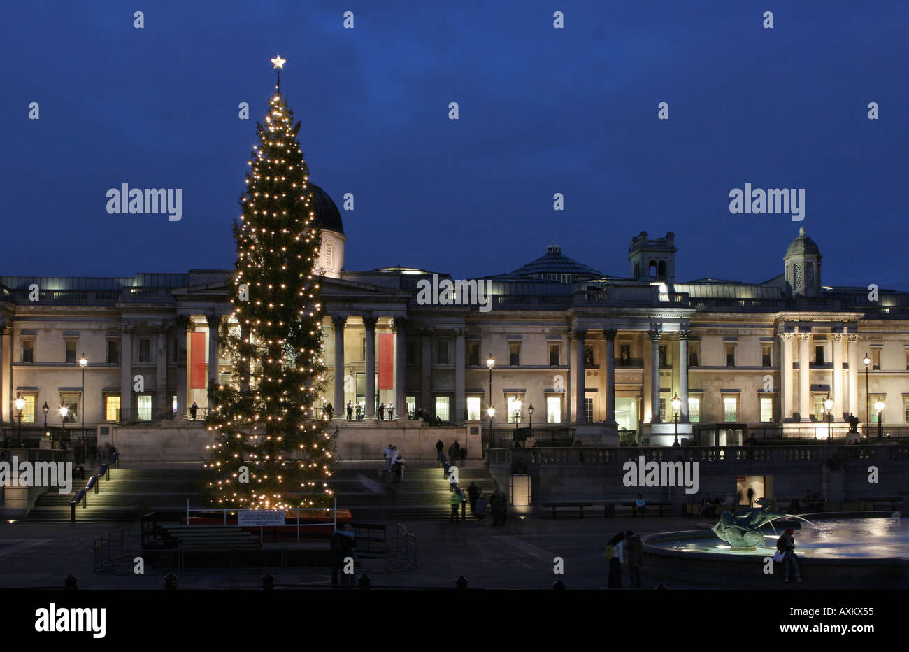 The City of Oslo's traditional Christmas tree in Trafalgar Square in ...