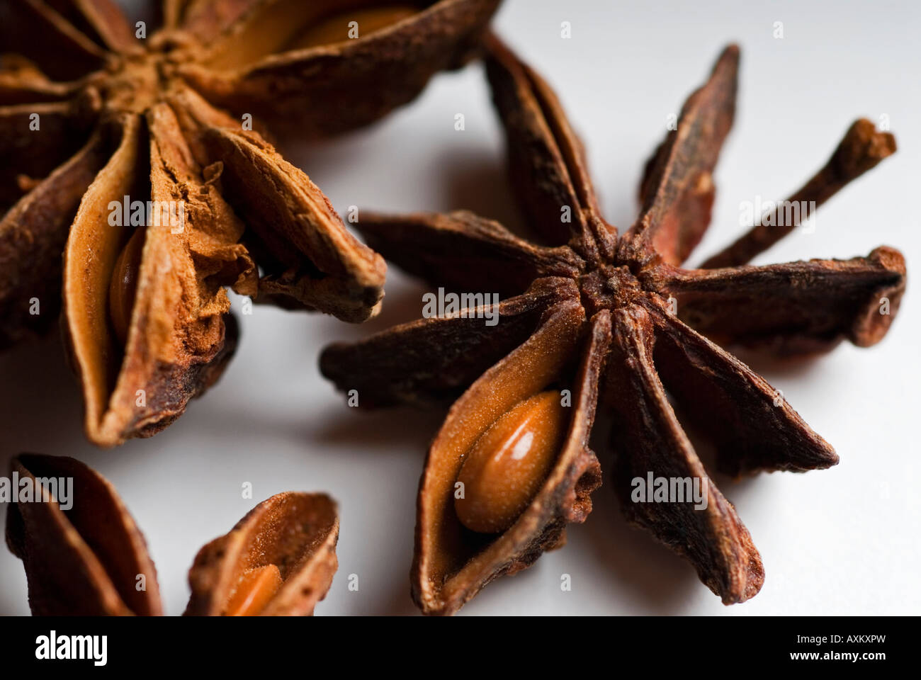 Chinese anise tree hi-res stock photography and images - Alamy