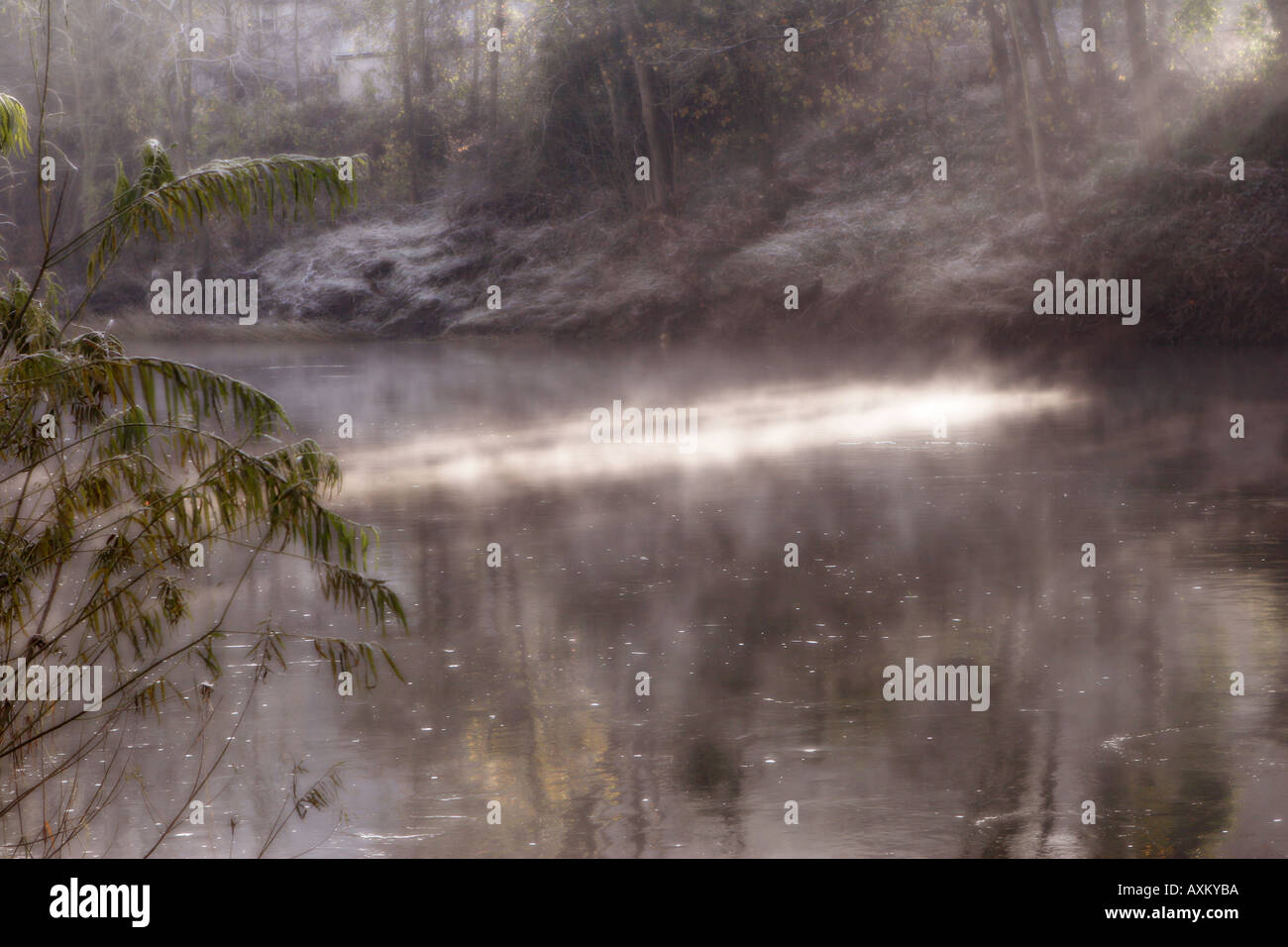 Mystical River. A shaft of Sunlight illuminates a frosty river bank and ...