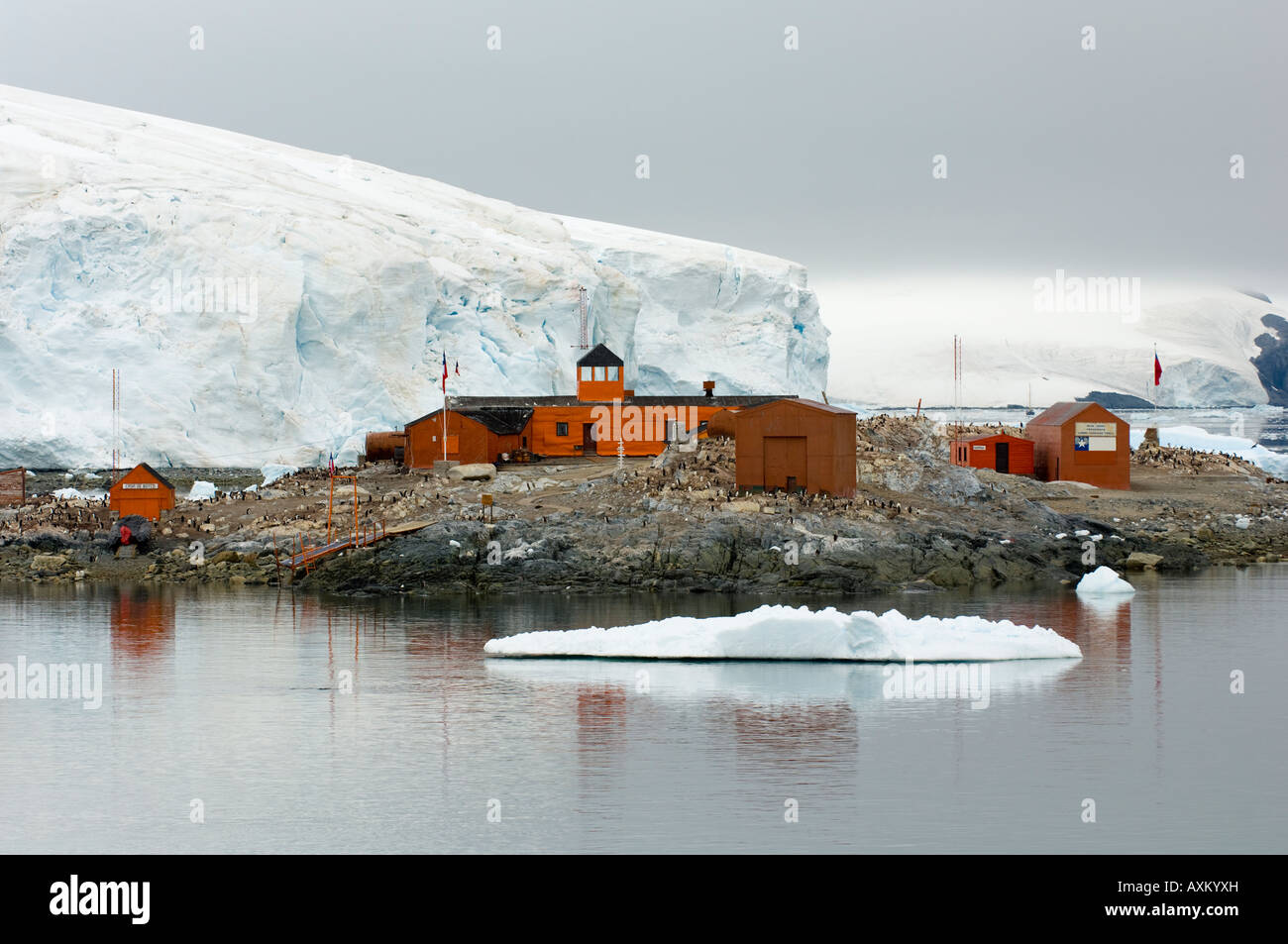 Gonzalez videla chilean antarctic base hi-res stock photography and ...