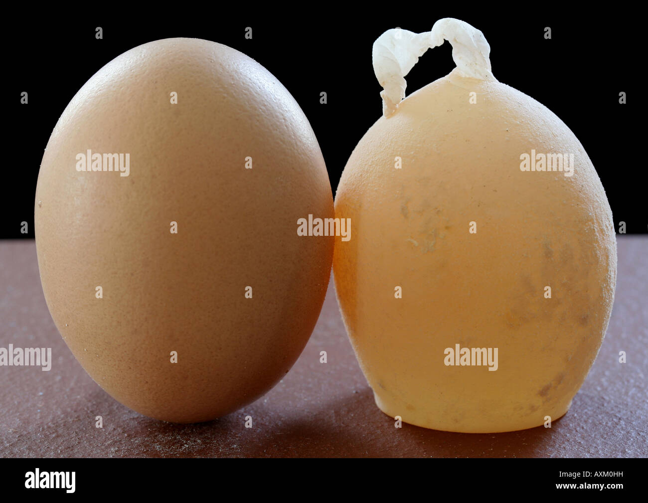 Shelless hi-res stock photography and images - Alamy