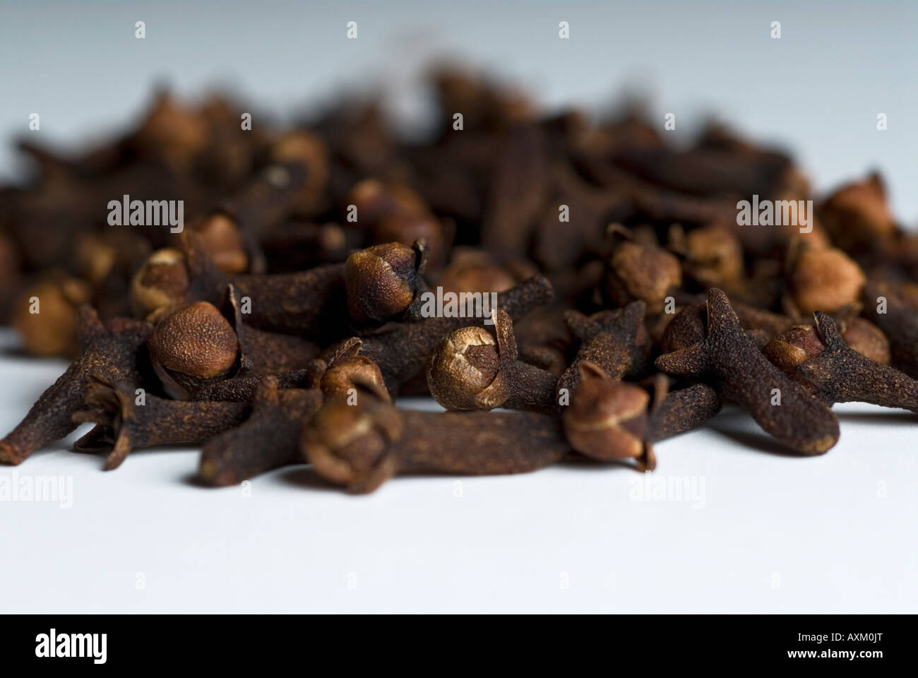 Stock photo of a pile of cloves The clove is a spice used as an ...