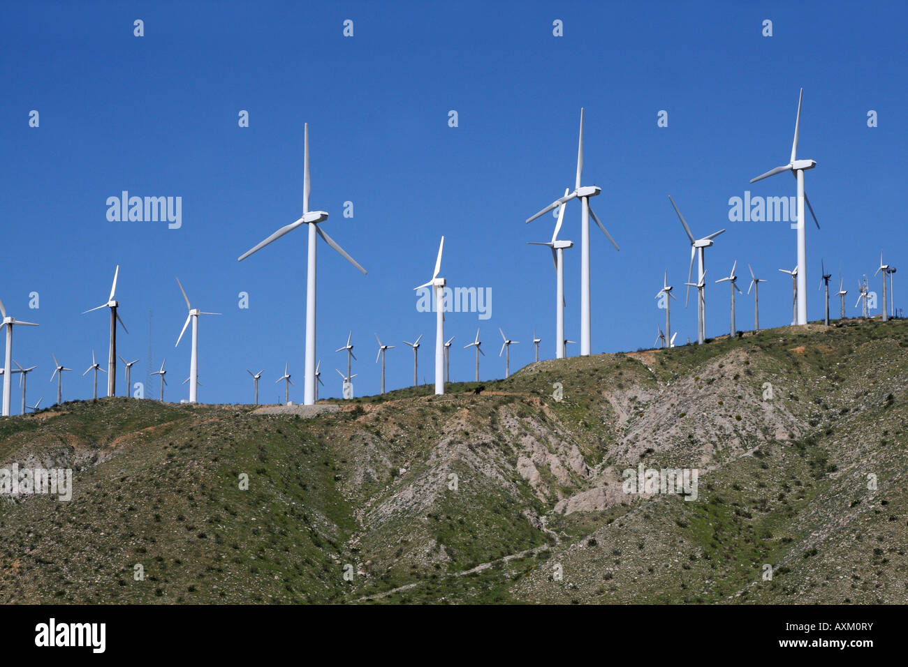 A wind farm of wind driven electricity generating turbines Stock Photo ...