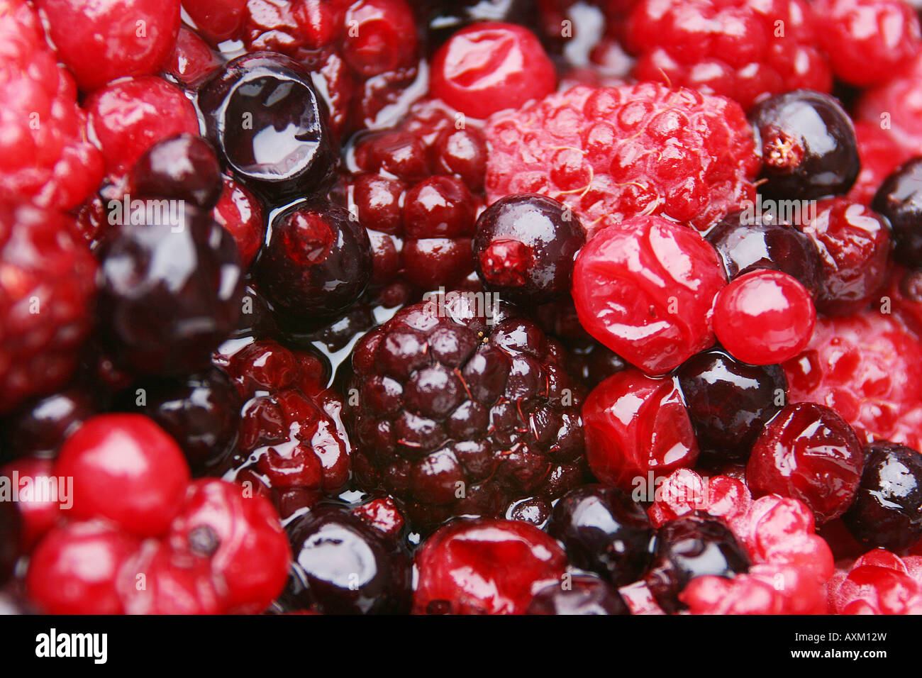 Summer Fruit Berries including raspberries, red currants, blackcurrants ...