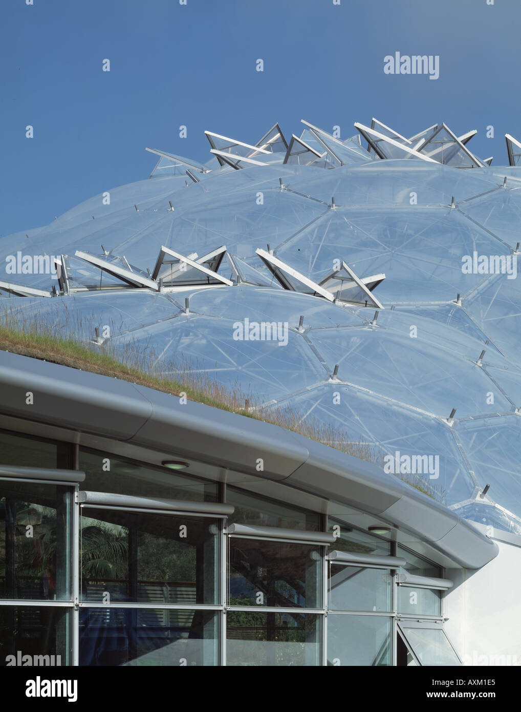 THE EDEN PROJECT Stock Photo - Alamy