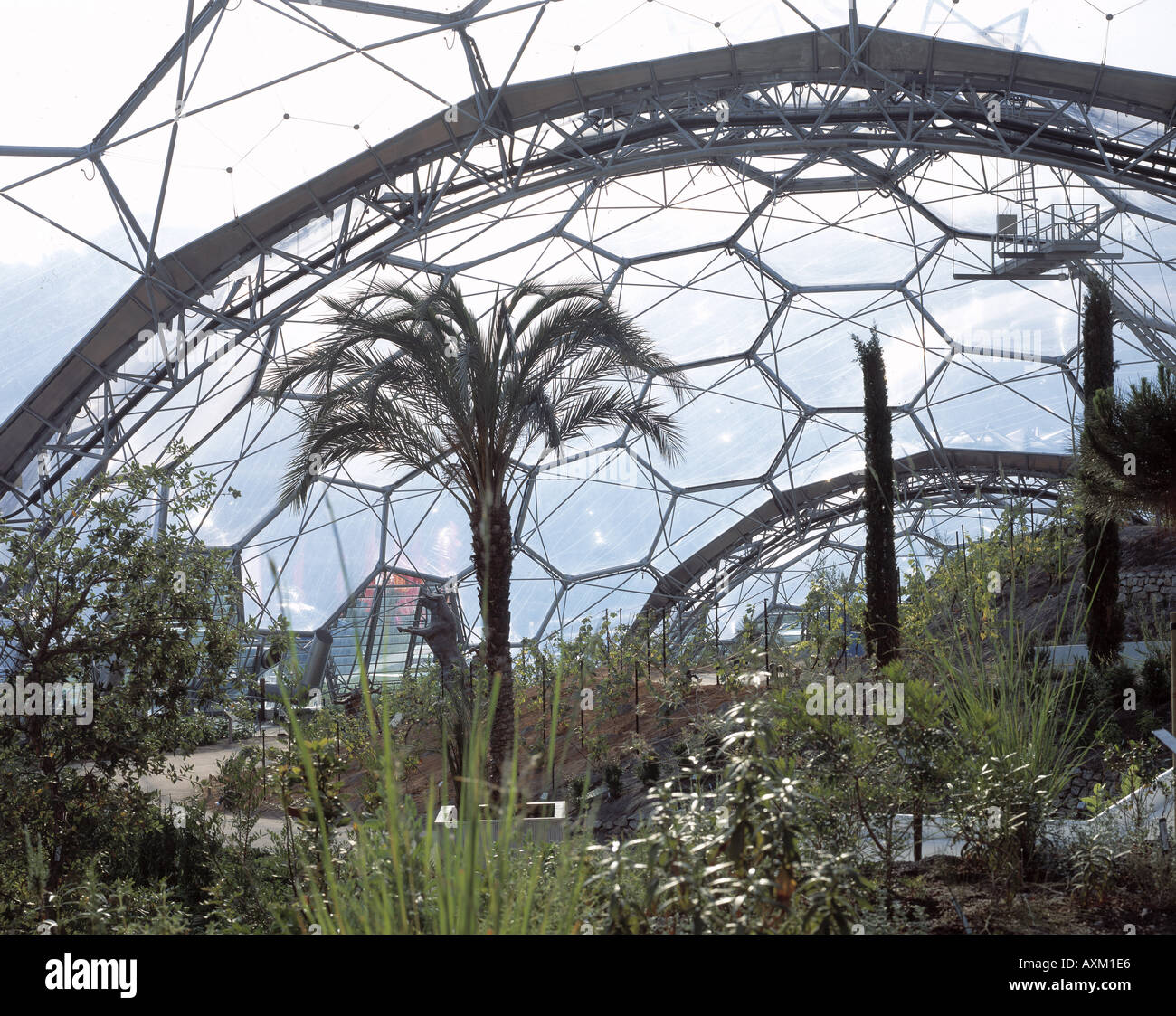 Eden project cafe hi-res stock photography and images - Alamy