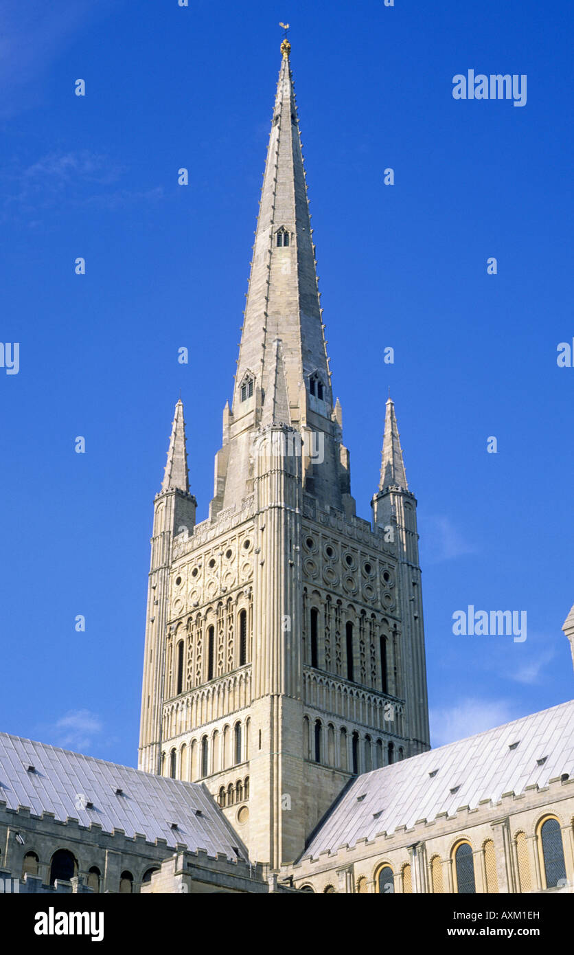 Norwich Cathedral Tower and Spire Norfolk English Medieval architecture ...