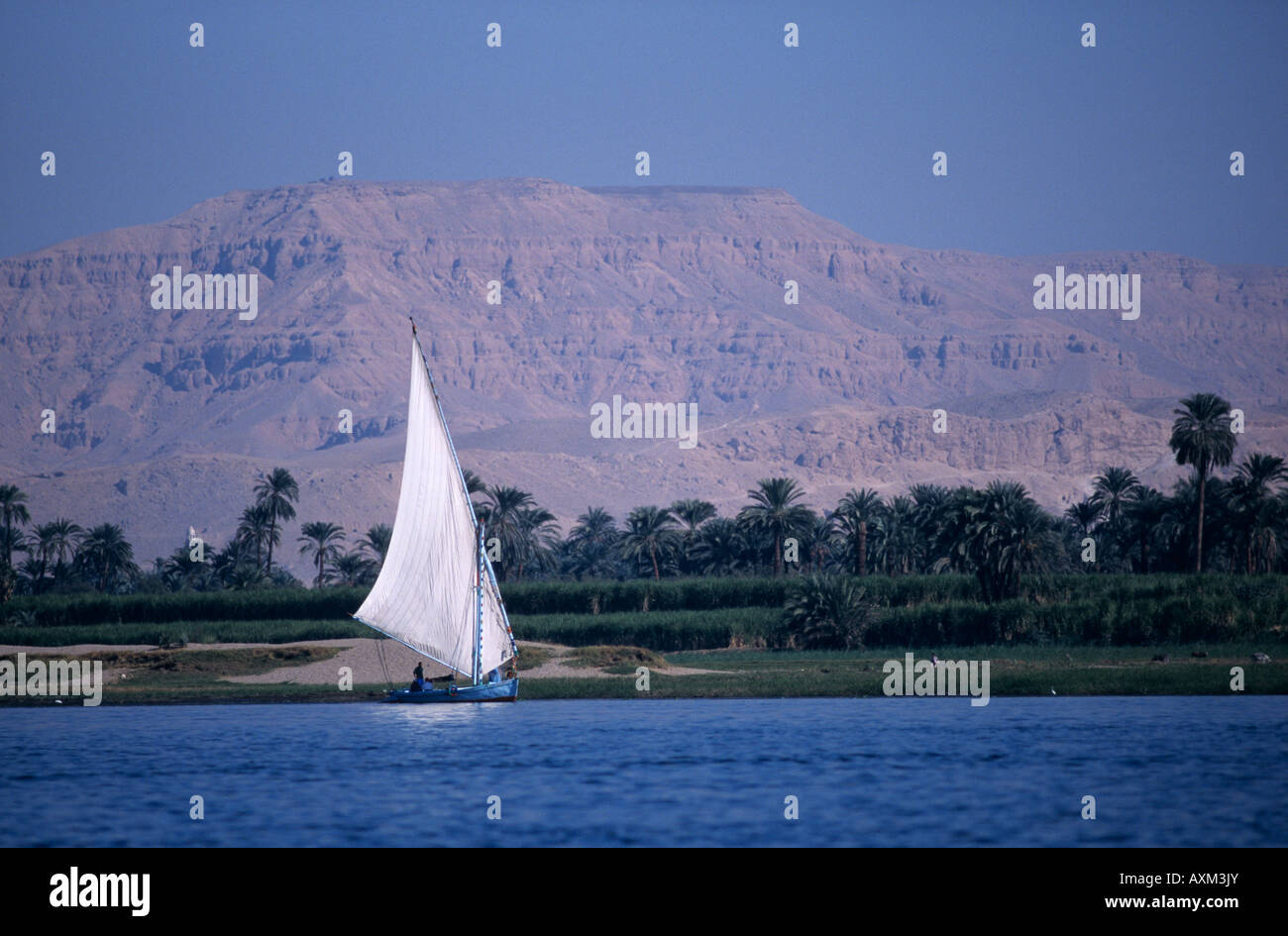 Sailing boat at the Nile, Egypt Stock Photo - Alamy
