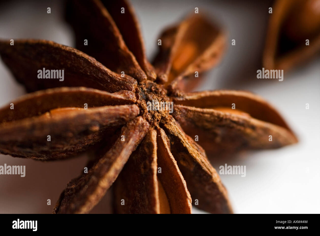 Chinese anise tree hi-res stock photography and images - Alamy
