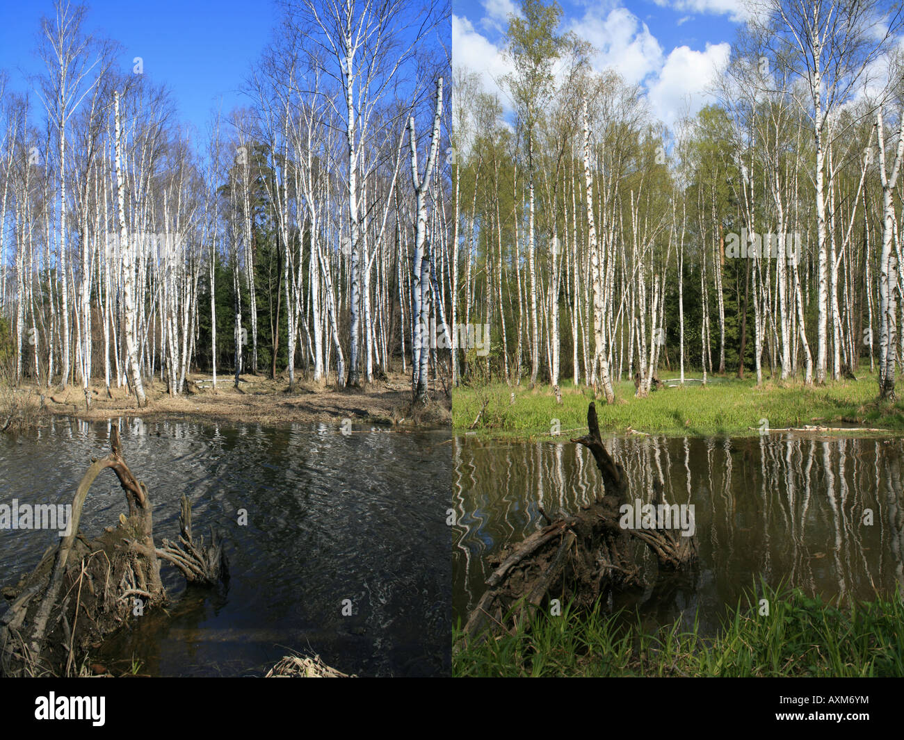 Same Scene Different Season High Resolution Stock Photography and ...