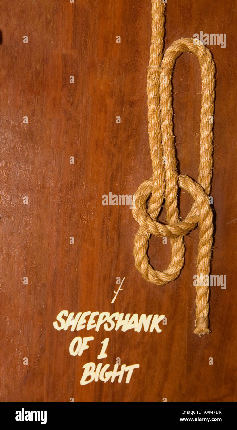 Sheepshank of one night knot Stock Photo - Alamy