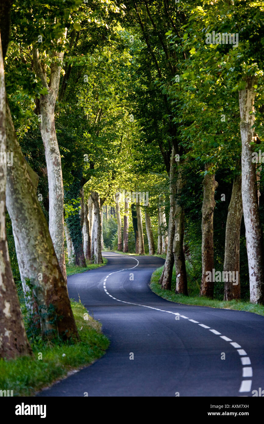 Pleasant rural road Stock Photo - Alamy