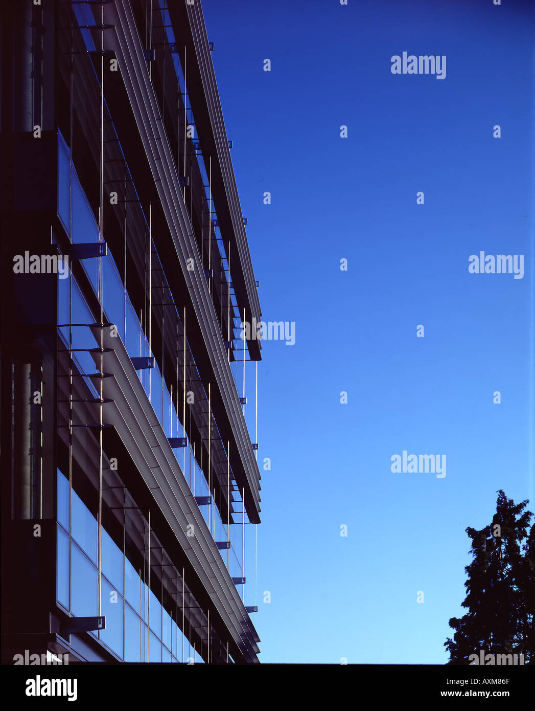 CENTRE FOR GENE FUNCTION Stock Photo - Alamy