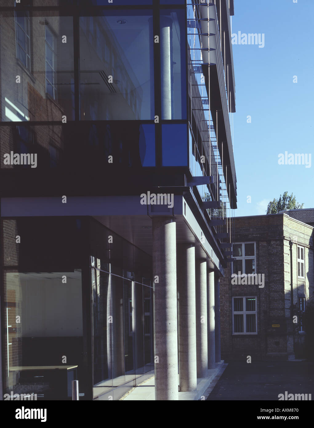 CENTRE FOR GENE FUNCTION Stock Photo - Alamy