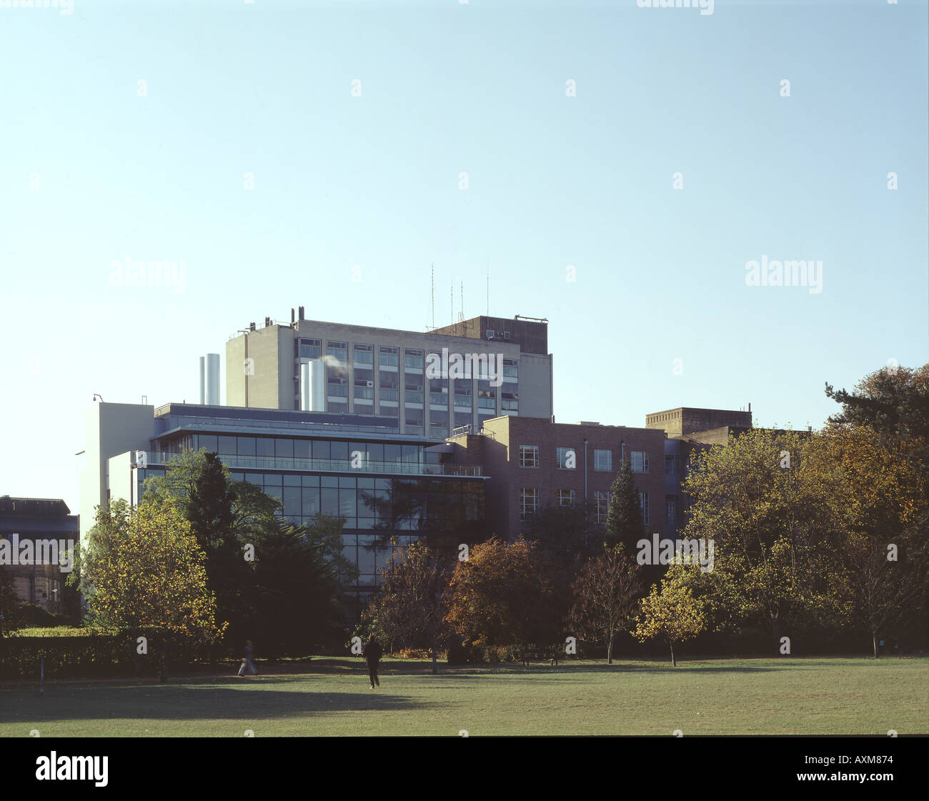 CENTRE FOR GENE FUNCTION Stock Photo - Alamy