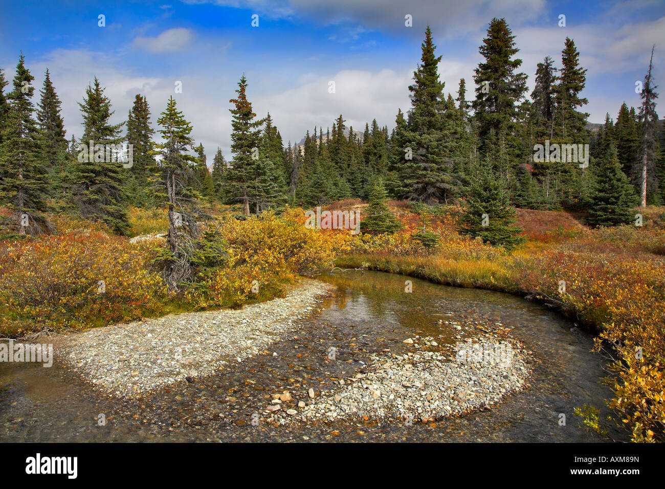 Shallow small river shallows and multi coloured autumn grasses on coast ...