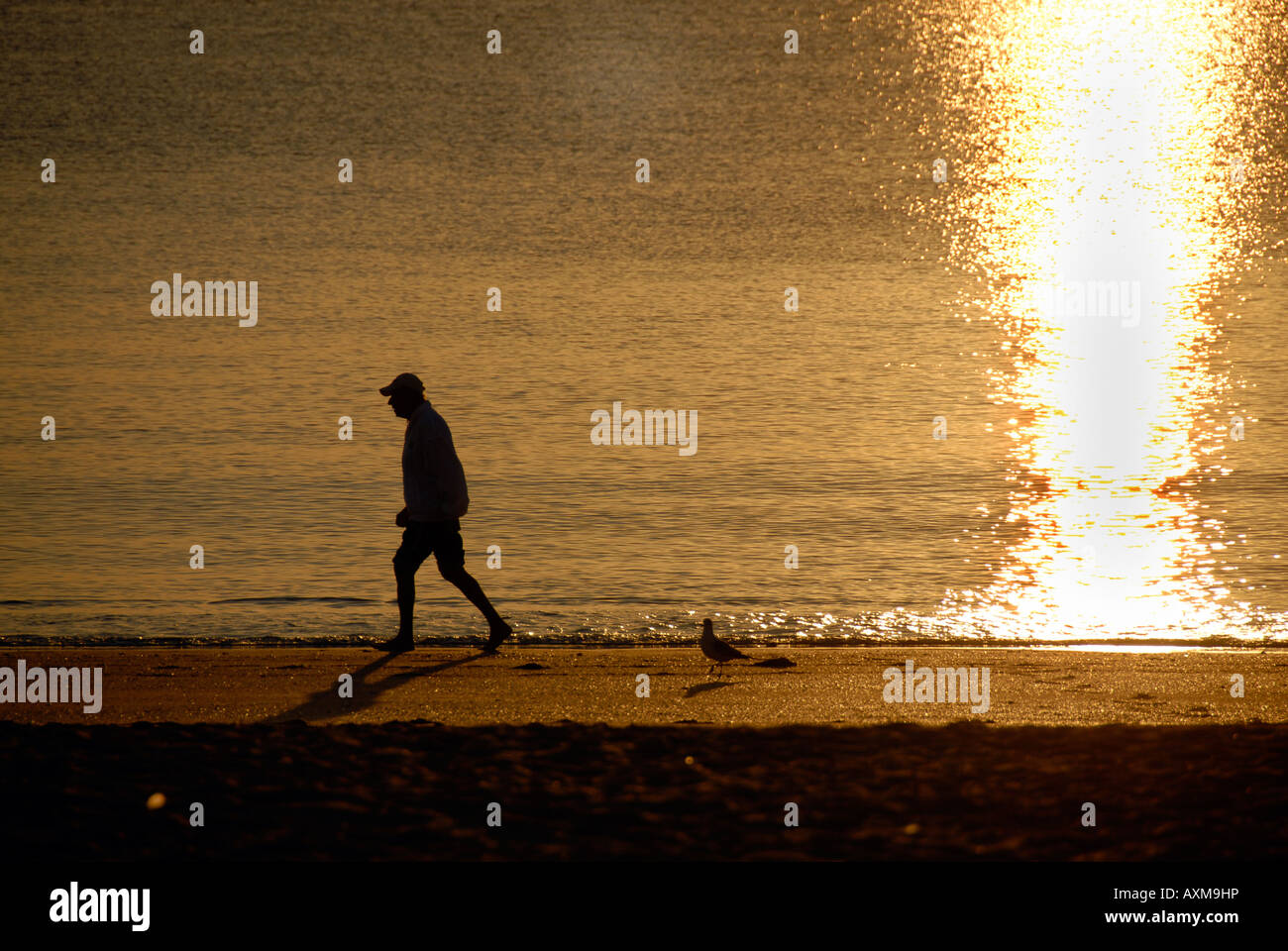 Early morning walk on the beach Stock Photo - Alamy