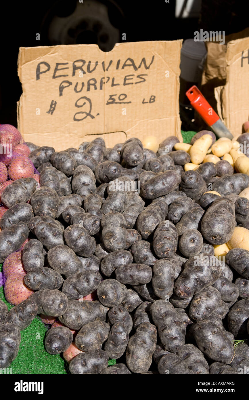 Peruvian purple potato selling at the Farmers market Santa Monica, CA ...