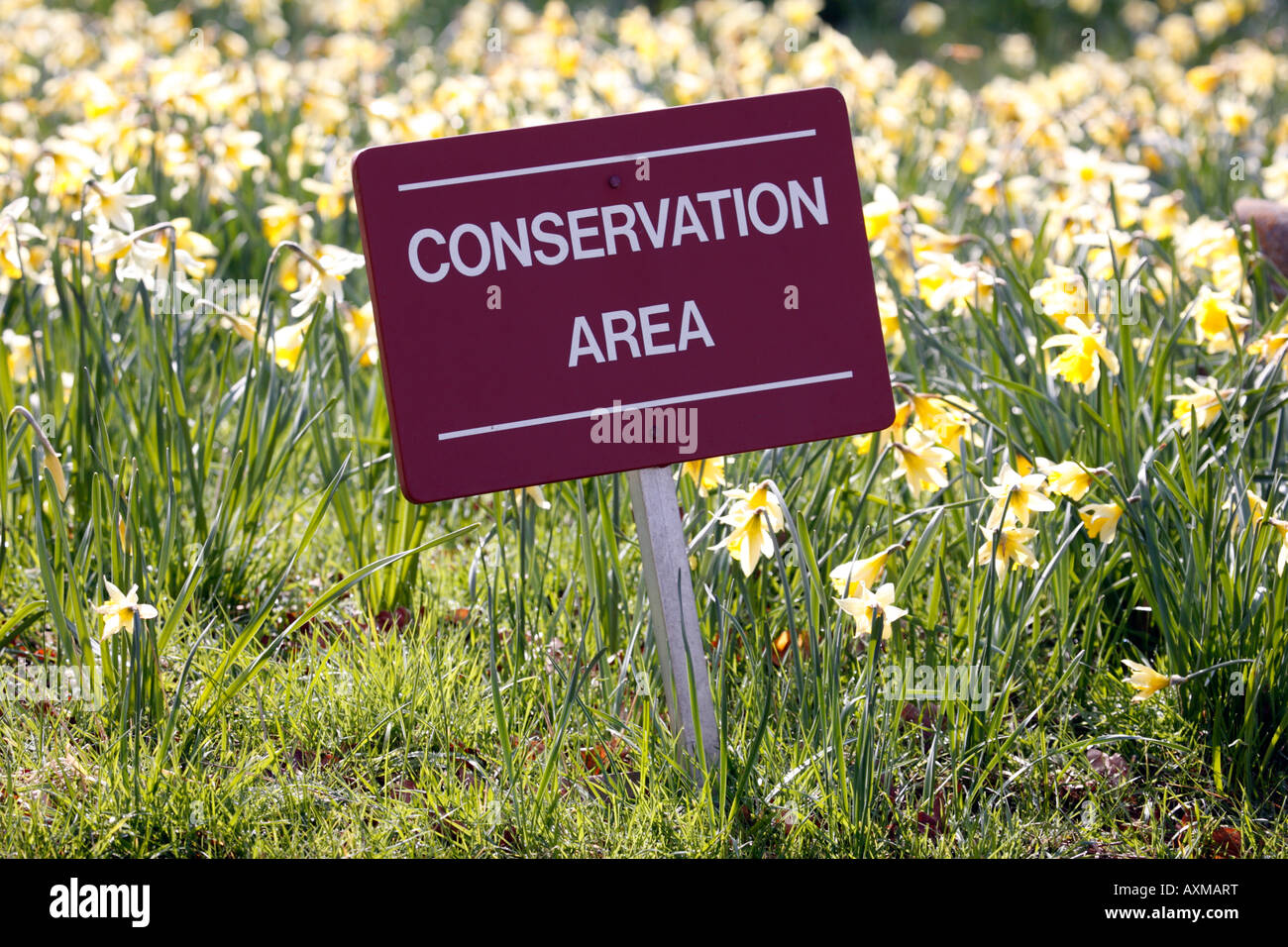 Conservation area sign hi-res stock photography and images - Alamy