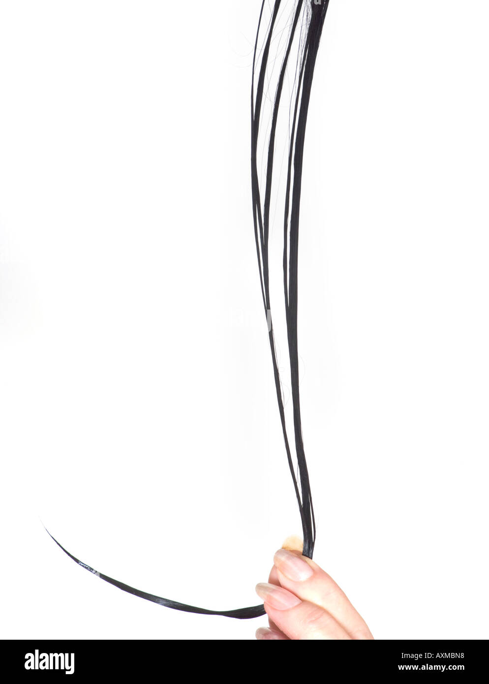 Woman s hand pulling strands of hair Stock Photo - Alamy