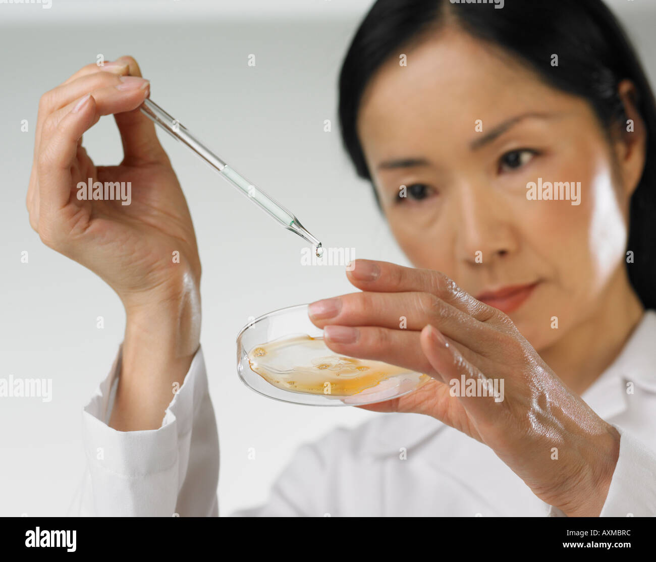 Asian woman dropping liquid into petri dish Stock Photo - Alamy