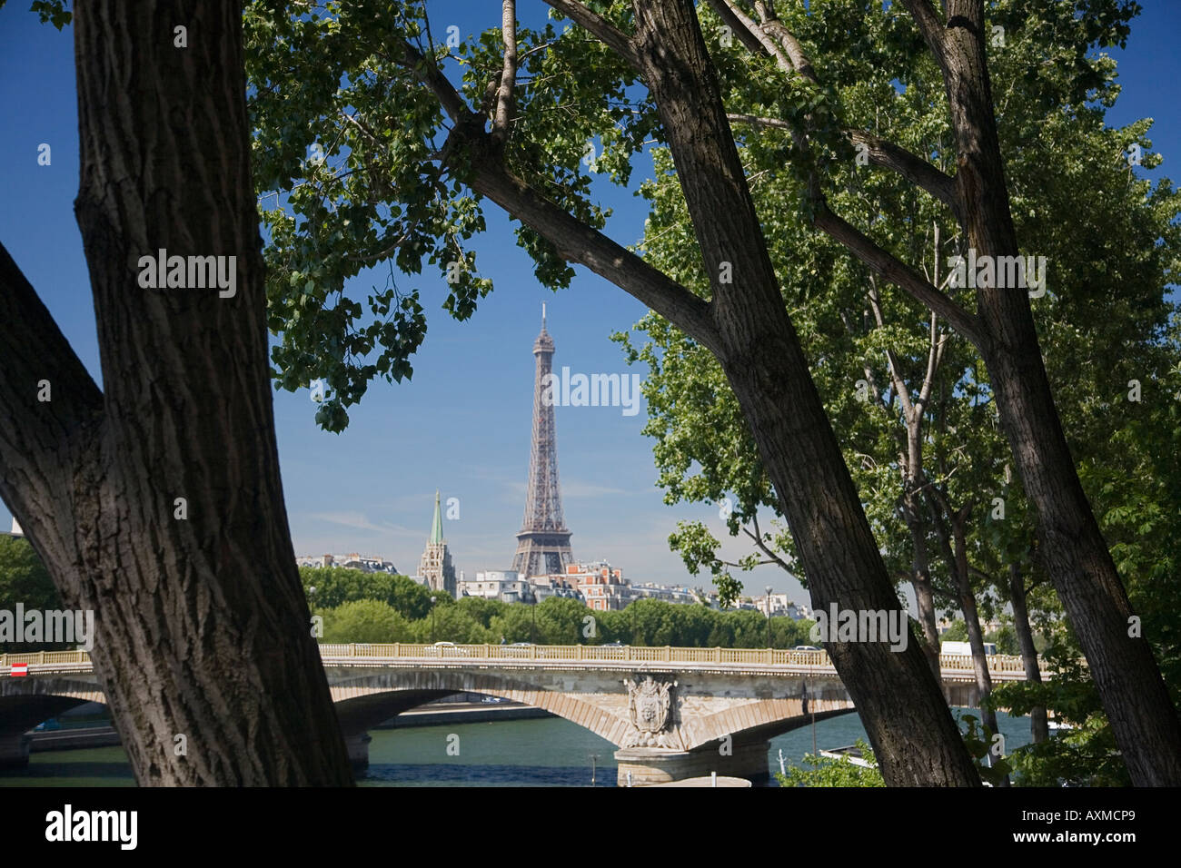 View through trees to Eiffel Tower Stock Photo - Alamy View through trees to Eiffel Tower Stock Photo - Alamy