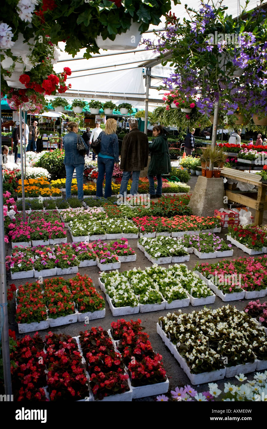 Gardening tour hi-res stock photography and images - Alamy