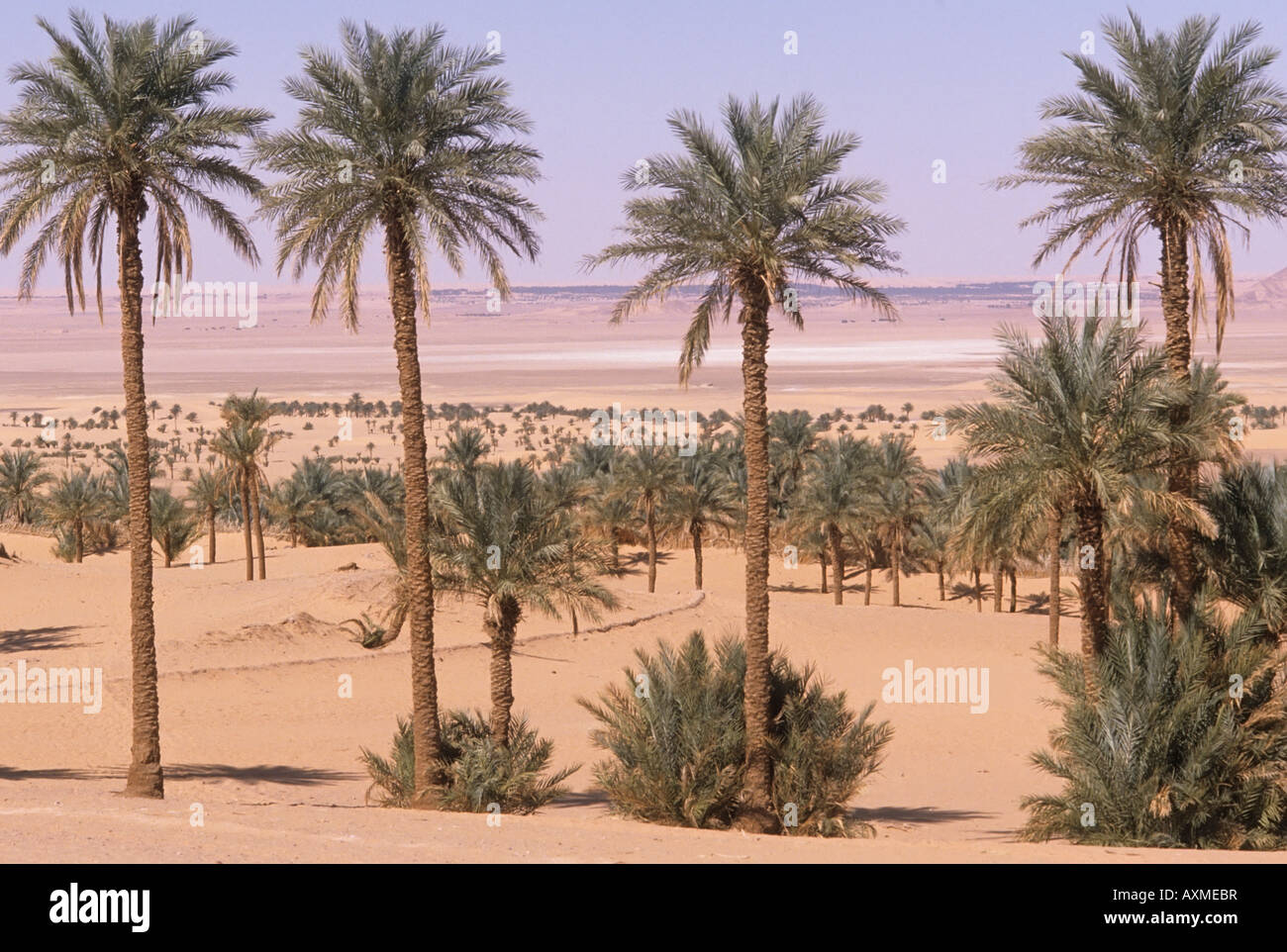 North Africa, Algeria Stock Photo - Alamy