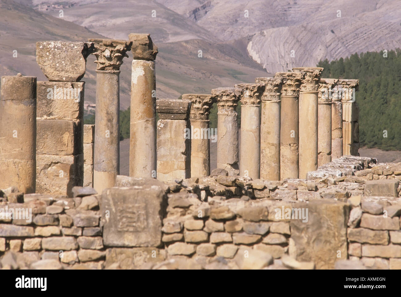 North Africa, Algeria Stock Photo - Alamy