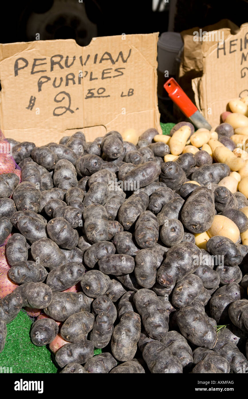 Peruvian potato farmers hi-res stock photography and images - Alamy