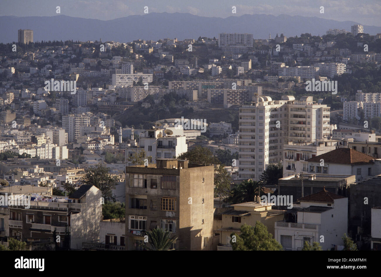 North Africa, Algeria, Alger Stock Photo - Alamy