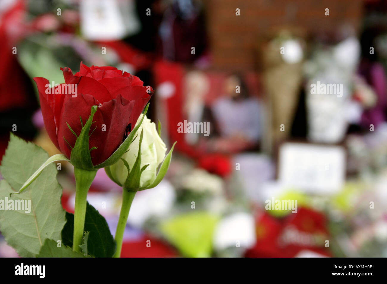 George best football hi-res stock photography and images - Alamy