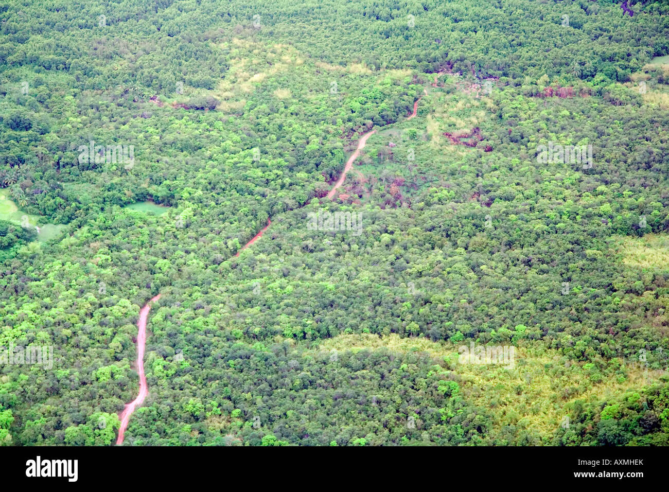 Aerial photograph of a disturbed forest in Coron, Busuanga, Palawan ...