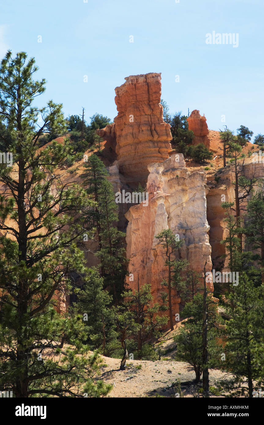 Red Canyon near Bryce, Utah Stock Photo - Alamy