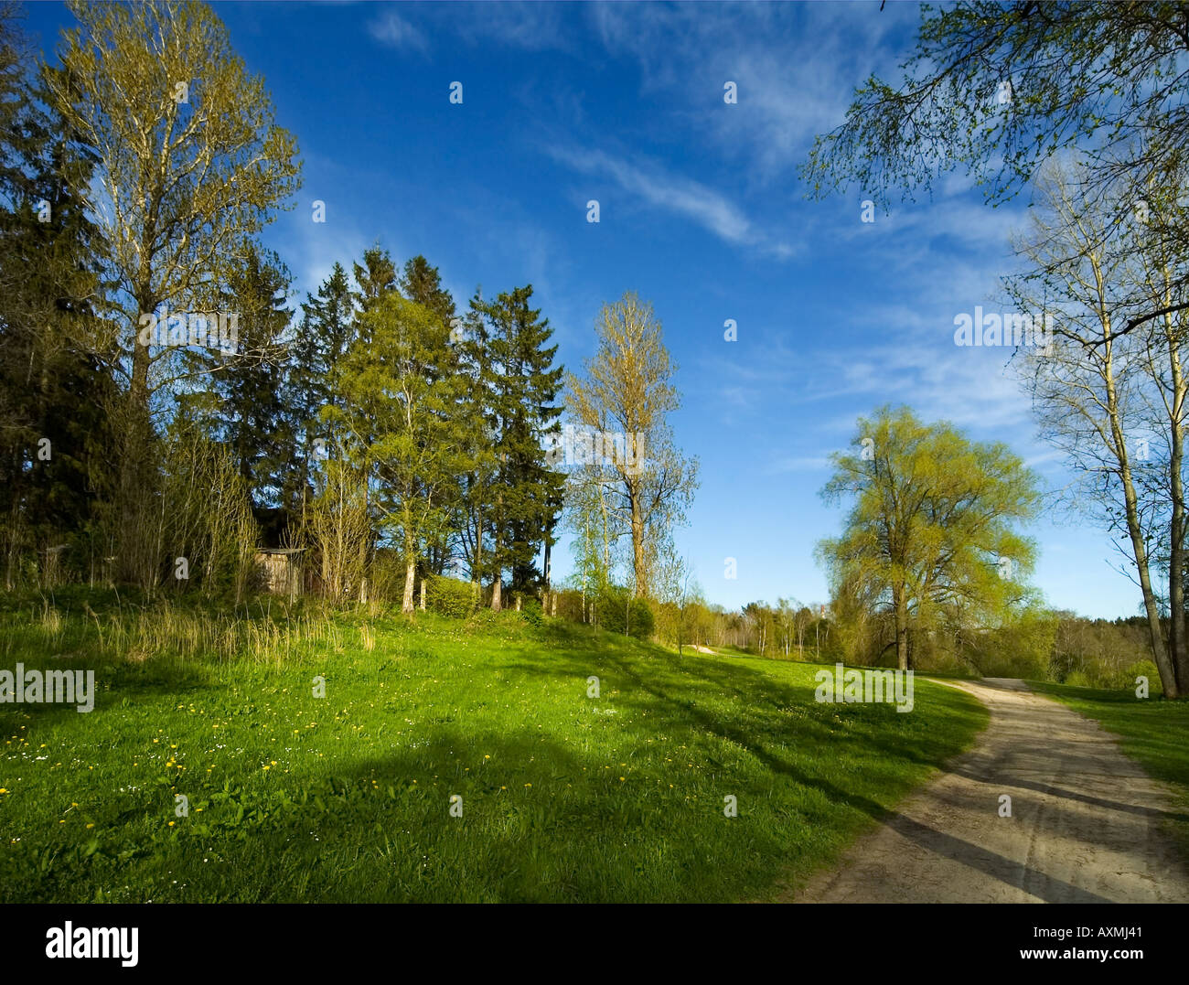 Estonian landscape in spring Stock Photo - Alamy