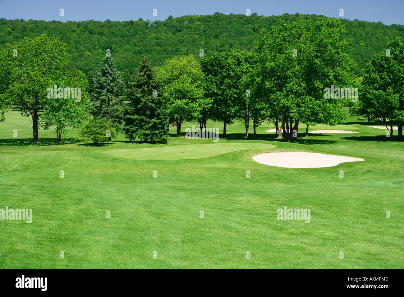 Golf course with sand trap Stock Photo - Alamy