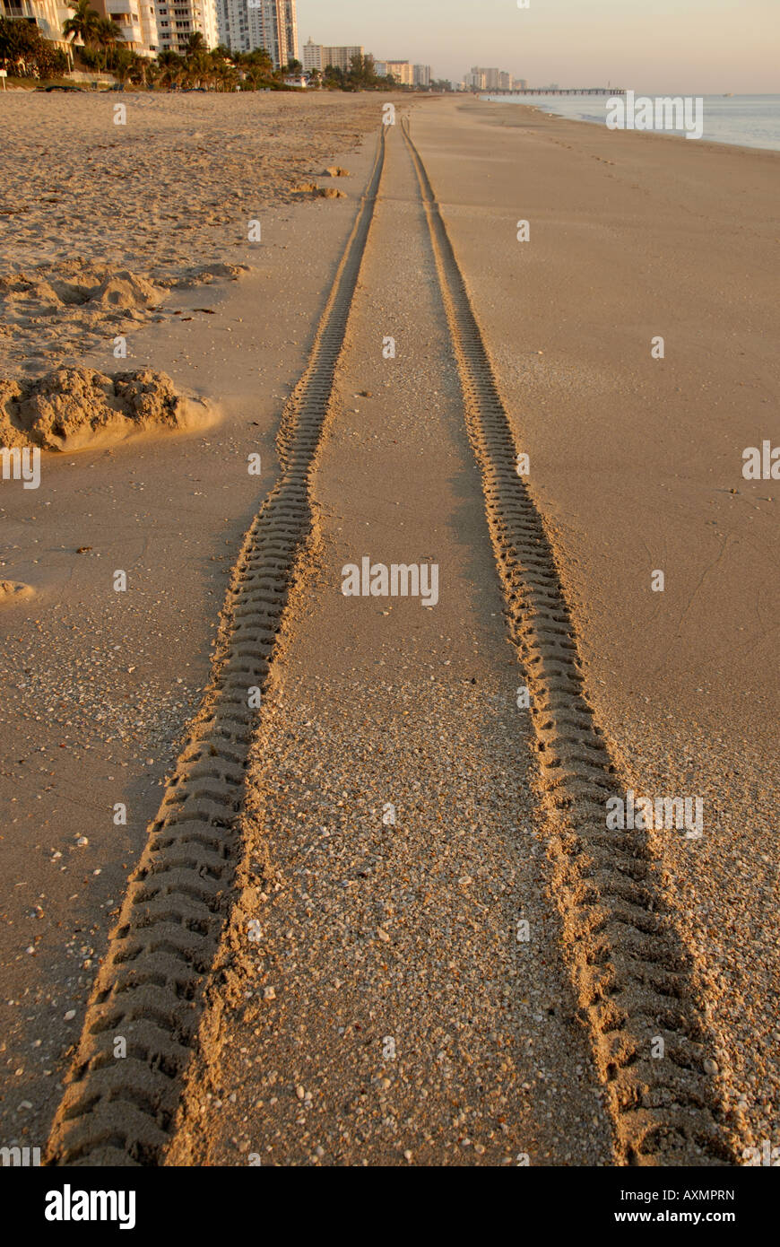 Tire tracks on beach Stock Photo - Alamy