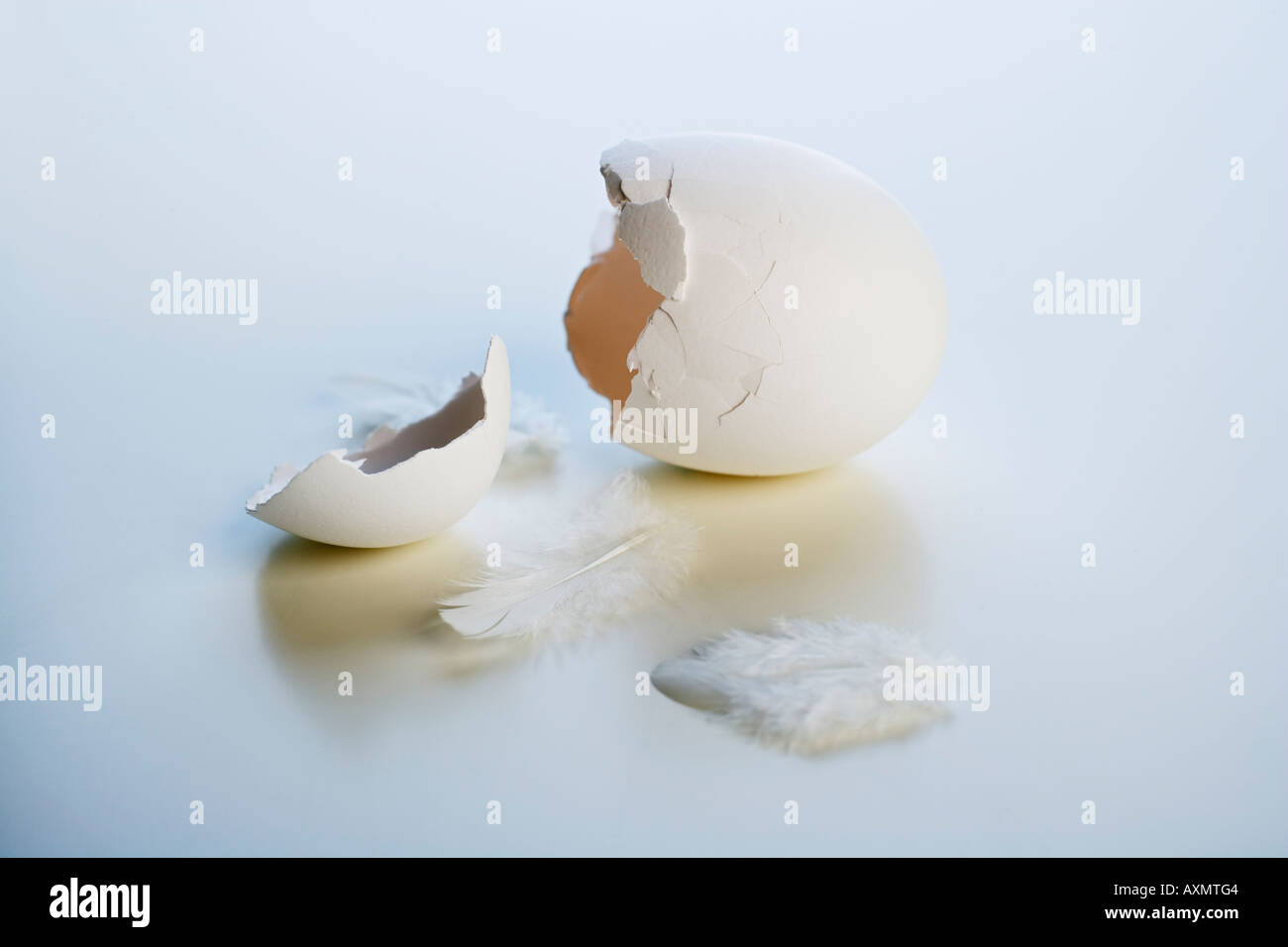 Riddles close hi-res stock photography and images - Alamy