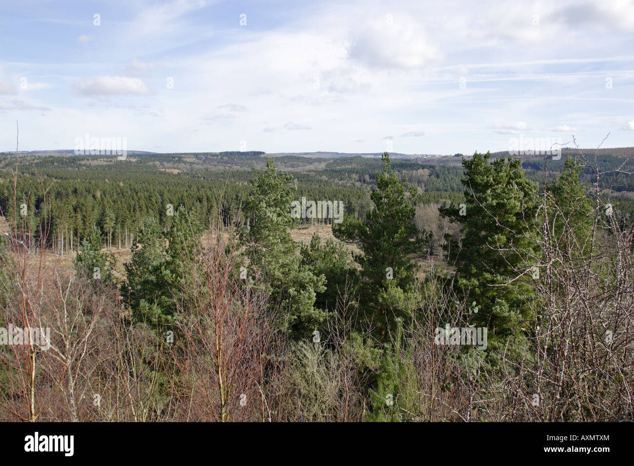 View over the Forest of Dean from New Fancy View Stock Photo - Alamy