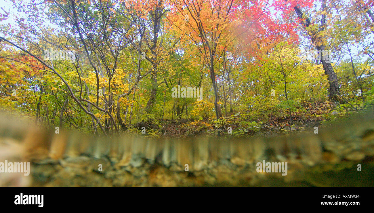 Split image of natural freshwater spring and autumn foliage Seoraksan ...