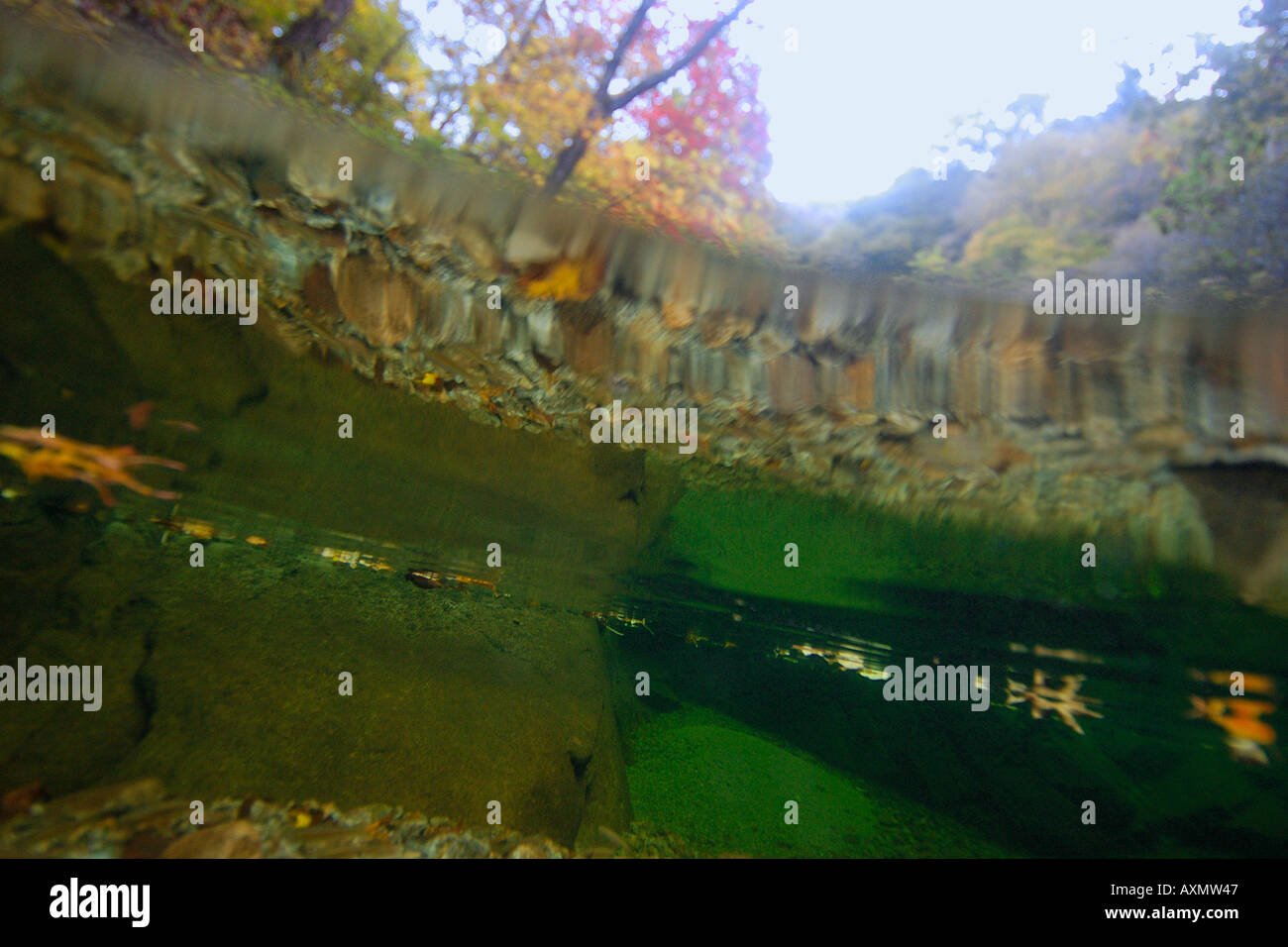 Split image of natural freshwater spring and autumn foliage Seoraksan ...