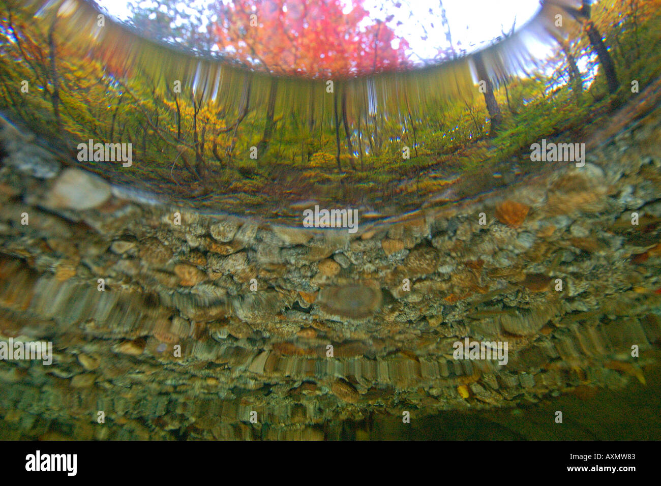 Split image of natural freshwater spring and autumn foliage Seoraksan ...