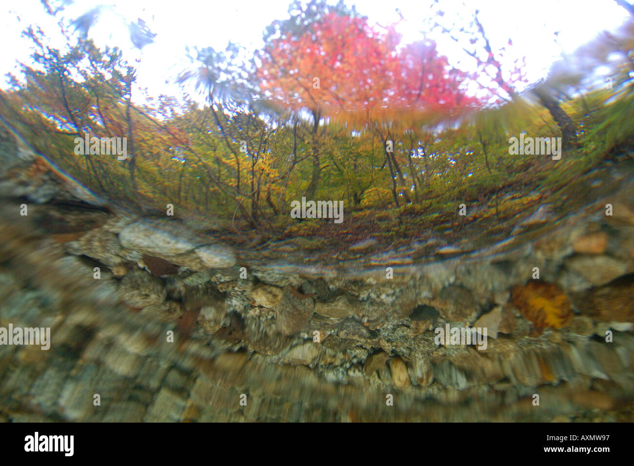Split image of natural freshwater spring and autumn foliage Seoraksan ...