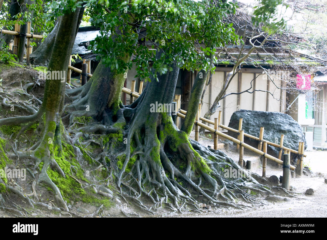 SPRING AT KENROKUEN GARDENS, KANAZAWA, JAPAN. WIDELY CONSIDERED ONE OF ...