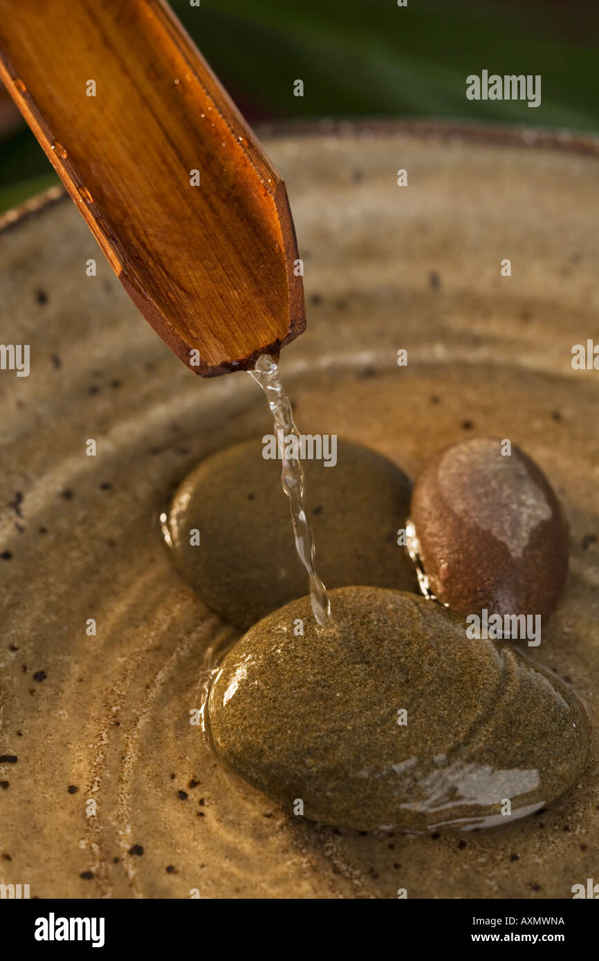 Water pouring out of plant stalk into bowl with stones Stock Photo - Alamy