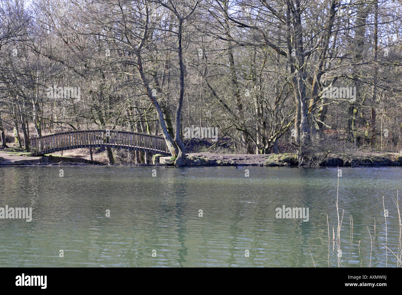 Cannop pond hi-res stock photography and images - Alamy