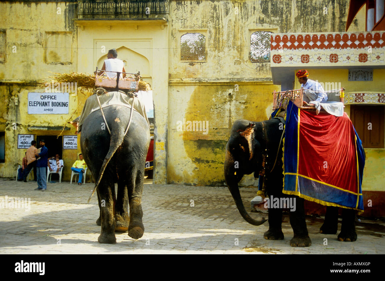 Elephant rides at The Amber Fort in Rajasthan, India Stock Photo - Alamy