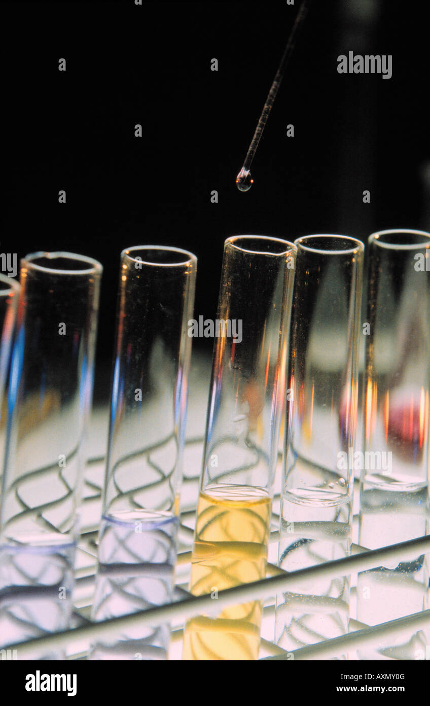 test samples in biochemistry Stock Photo - Alamy