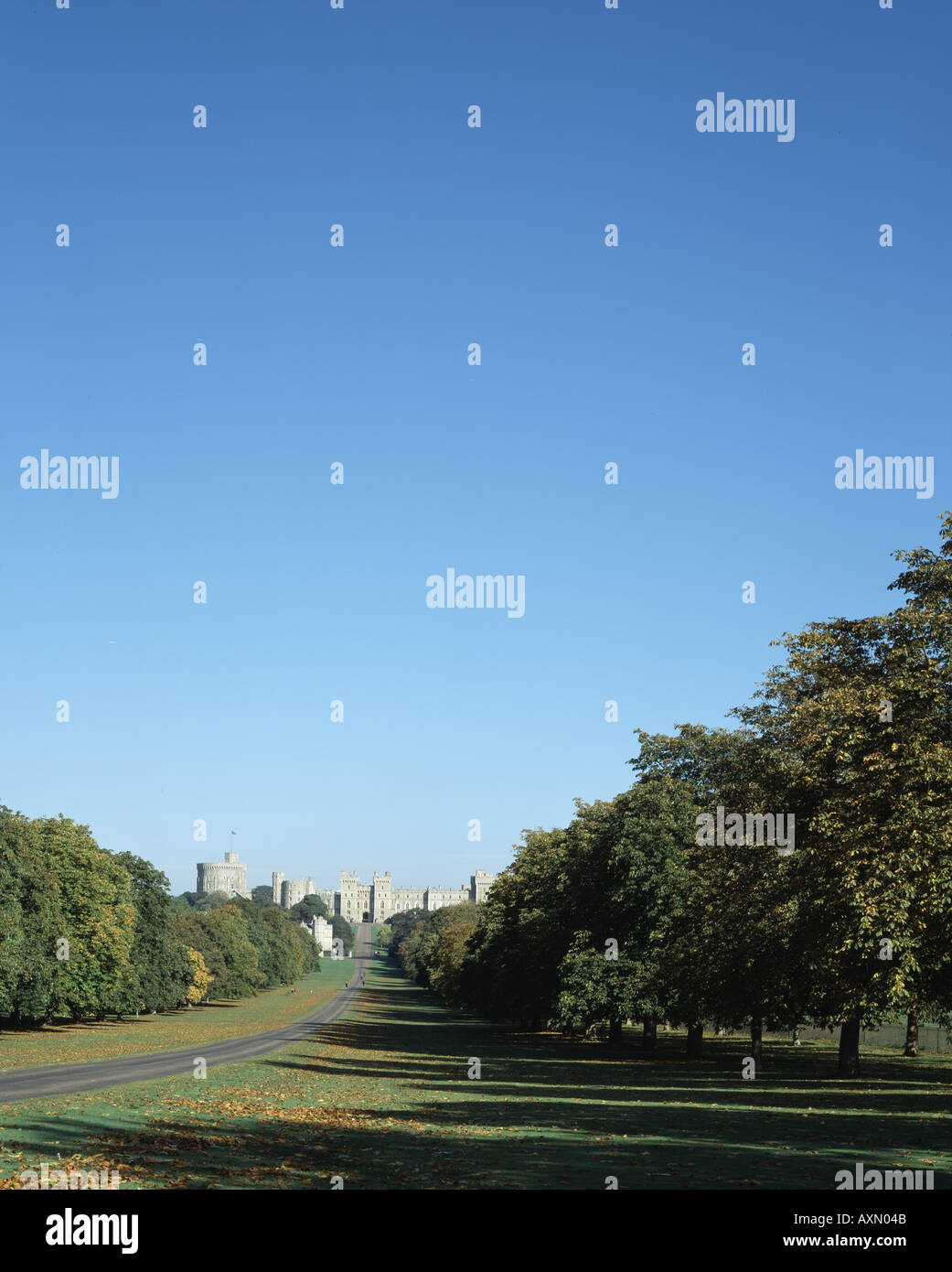 Negative windsor hi-res stock photography and images - Alamy