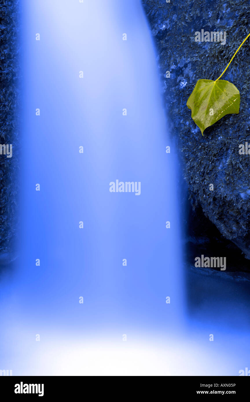 Waterfall and Leaf Stock Photo - Alamy